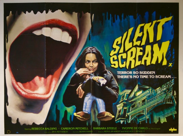 Silent Scream Movie Poster - Vintage Movie Poster