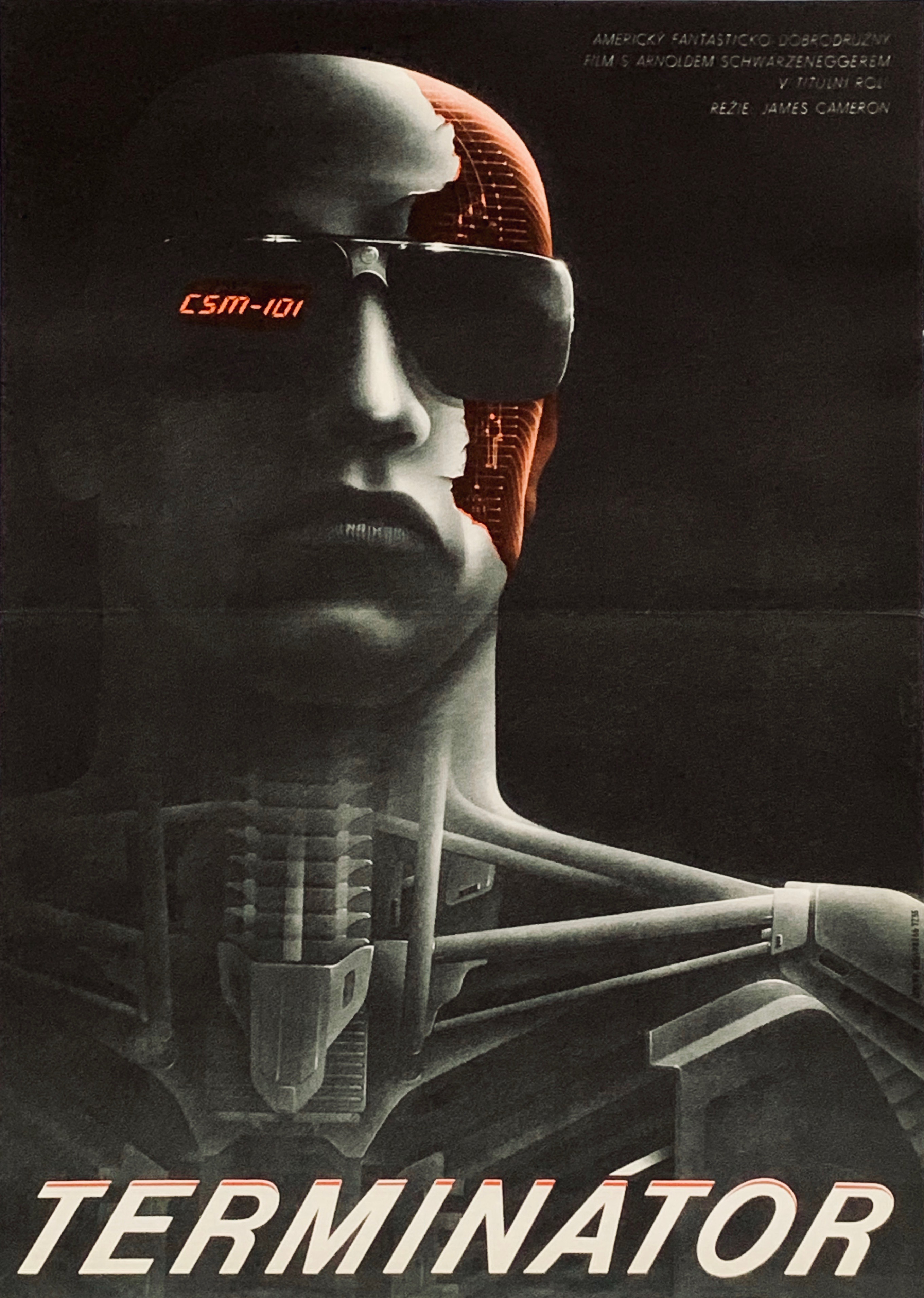 The Terminator Movie Poster