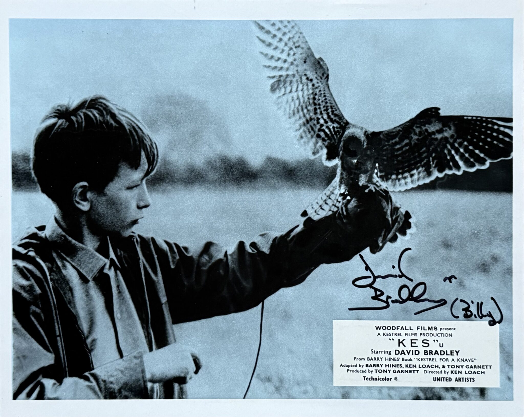 Original KES Movie Poster - David Bradley - Ken Loach - Drama
